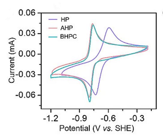 BHPC - selectoprobe
